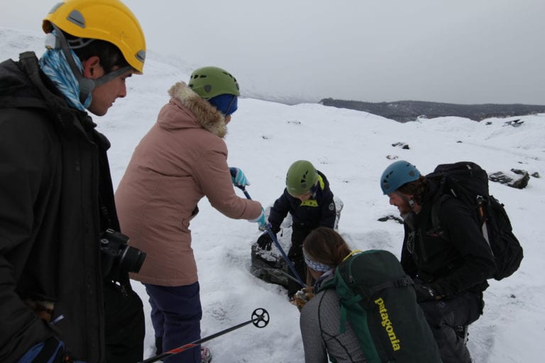 Glacier Mice ⋆ Glacier Tours